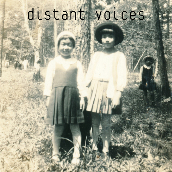 distant voices - drop